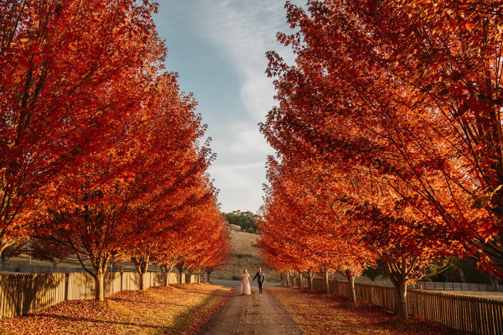 Gum Gully Farm Wedding of Jess and Ryan | Rick Liston