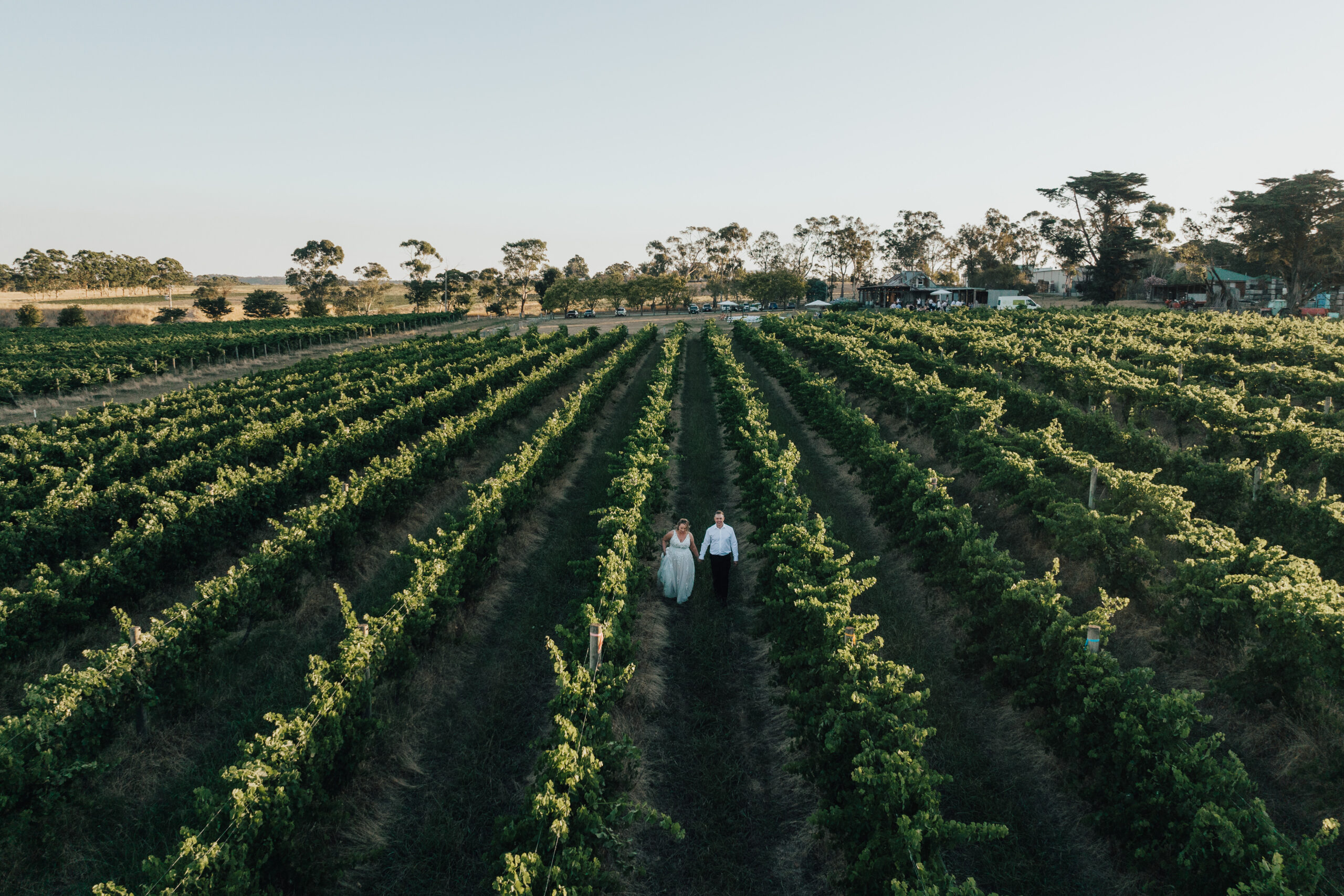 Yering Farm Wines Wedding of Alisha and Morten | Rick Liston